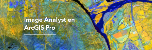 Analiza imágenes en ArcGIS Pro con Image Analyst Extension - Esri España